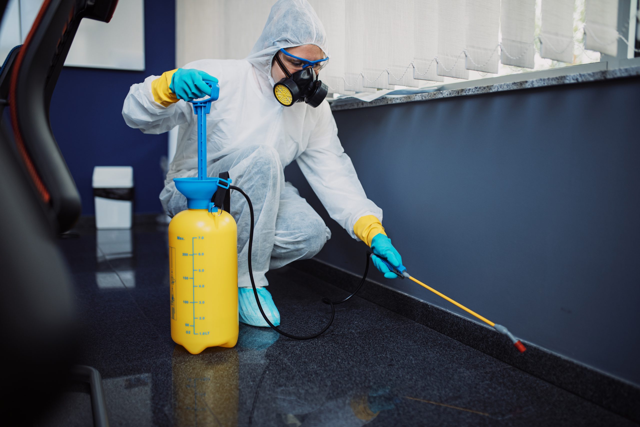 Dover Pest Control - Staines Pest Control