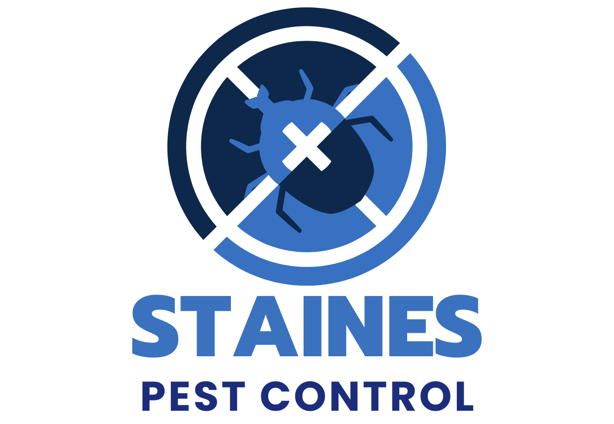 Dover Pest Control - Staines Pest Control